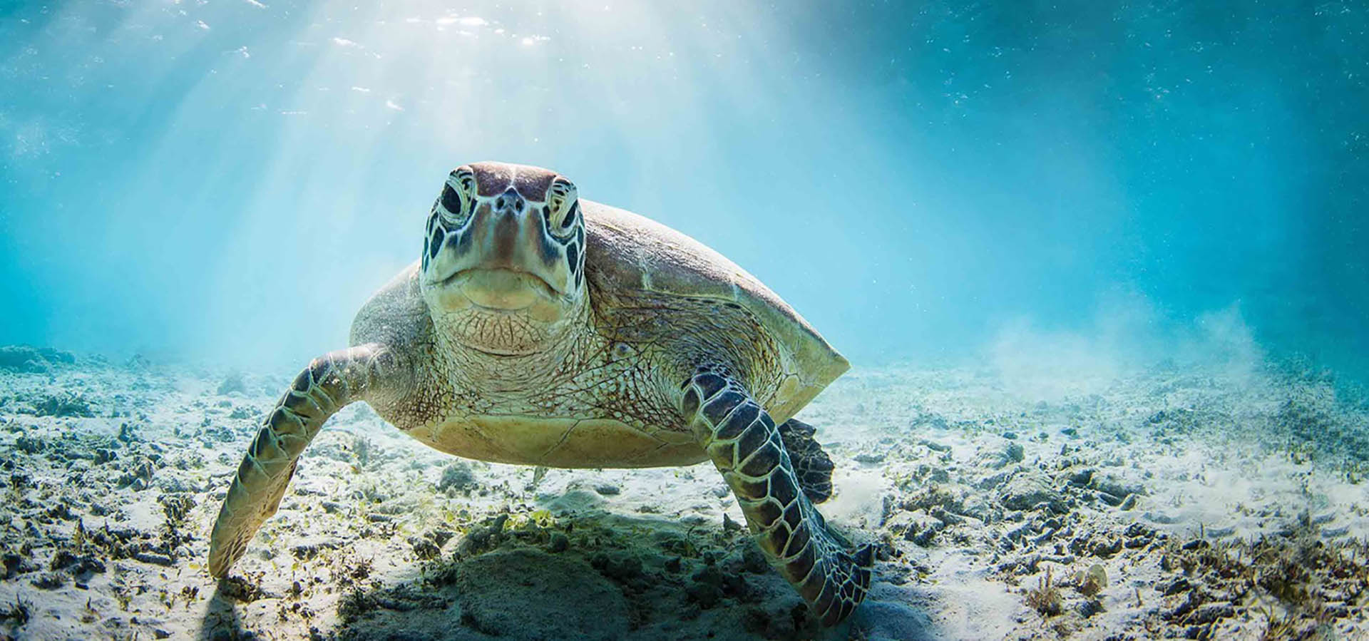 Hidden Galapagos and Peru | Tauck