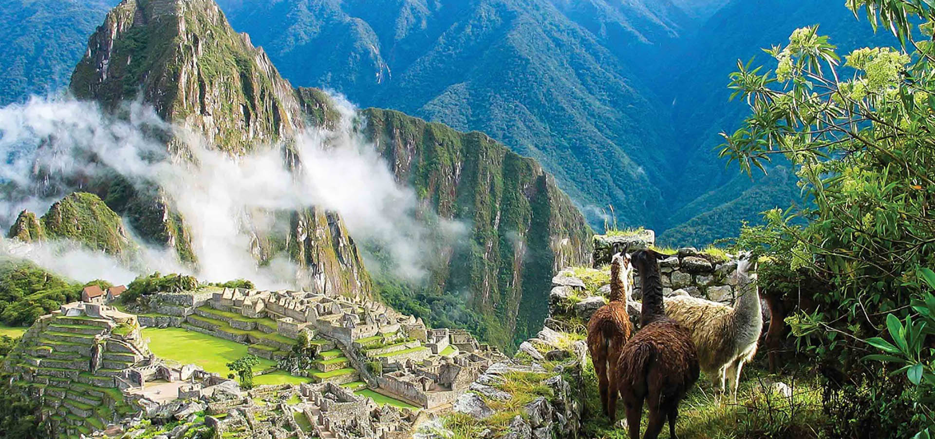 Peru & the Galapagos Islands | Tauck