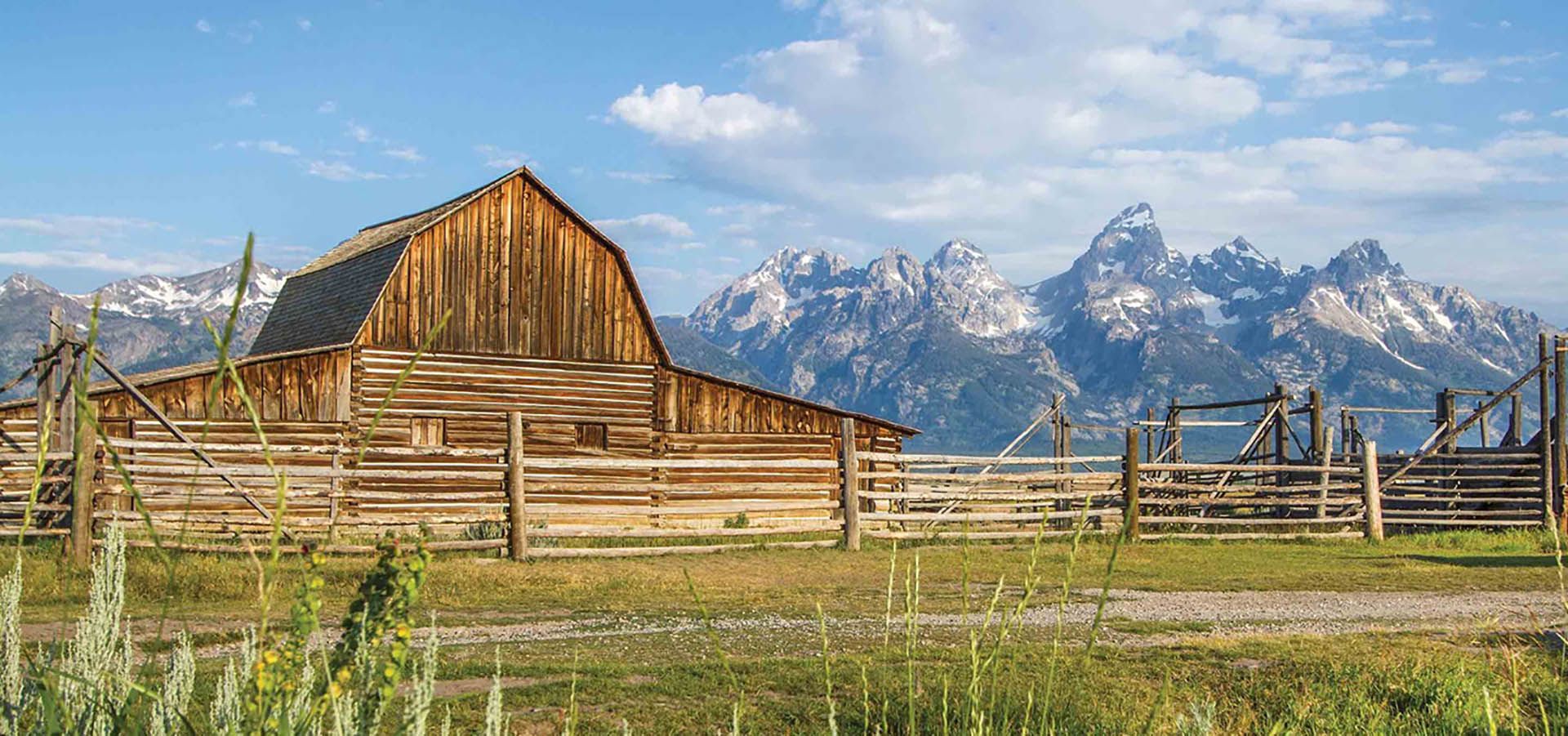 Yellowstone & the Tetons: American Safari | Tauck