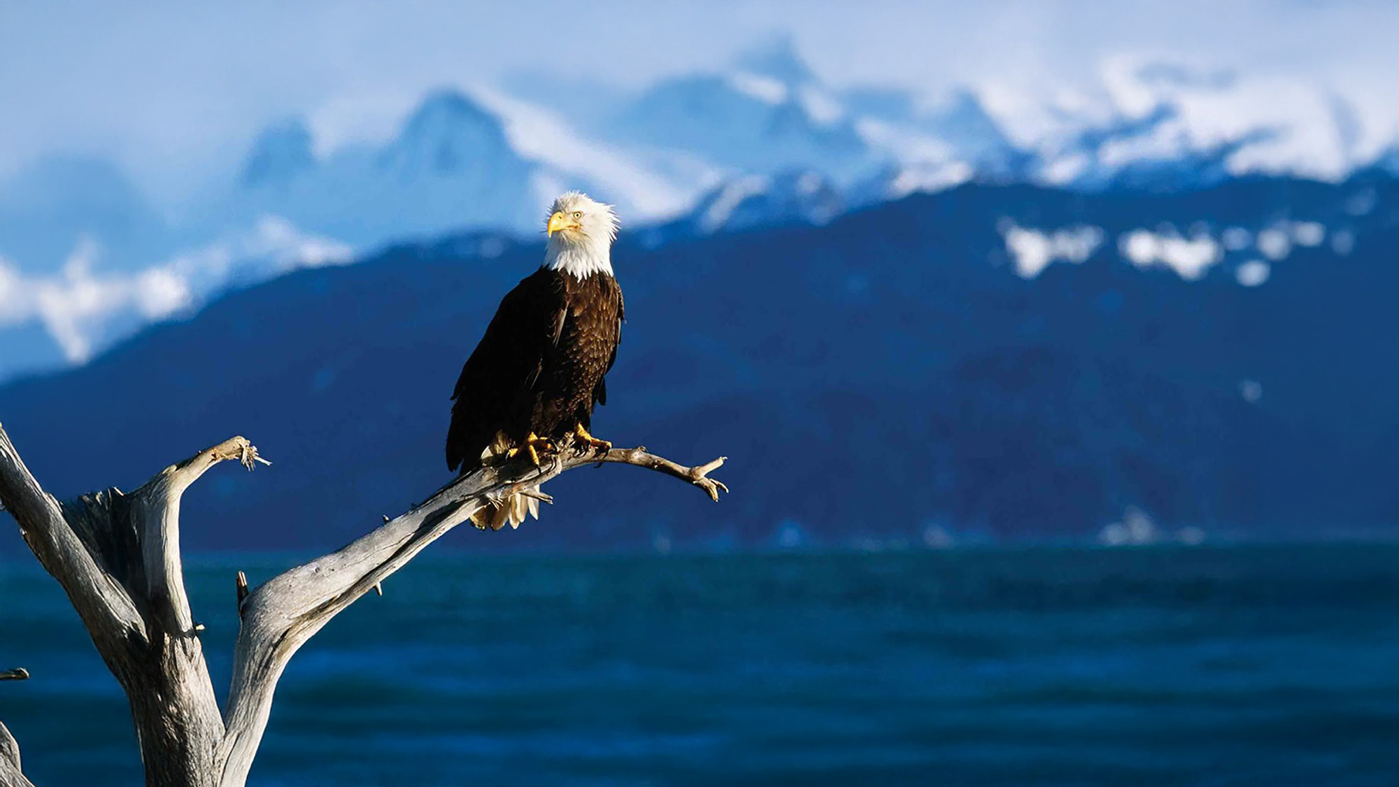 Alaska's Inside Passage | Tauck